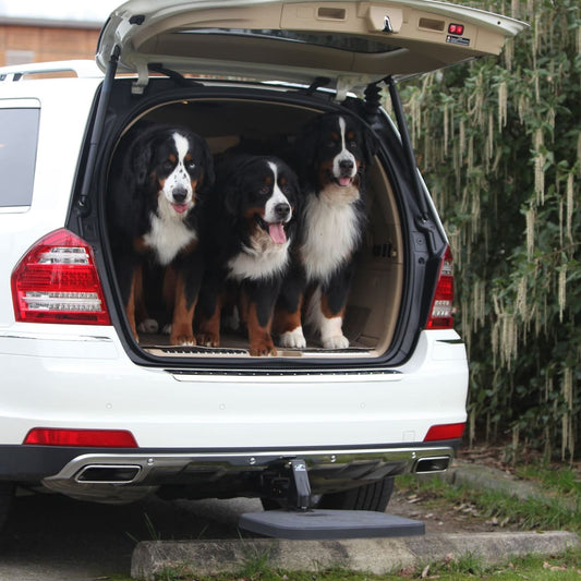 Premium Dog Steps for SUVs & Pets | Hitch-Mounted SUV Pet Step